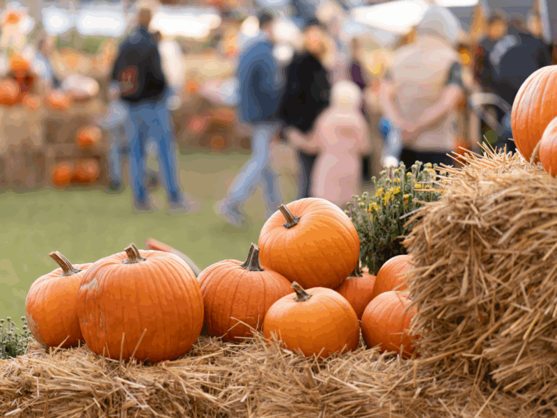 Fun Friday: Fall Outreach Ideas to Spark Connection